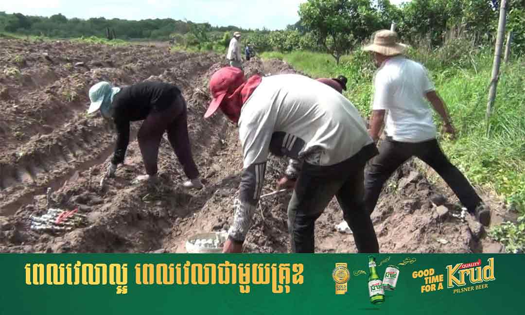 មន្ទីរកសិកម្មខេត្តស្ទឹងត្រែង ...